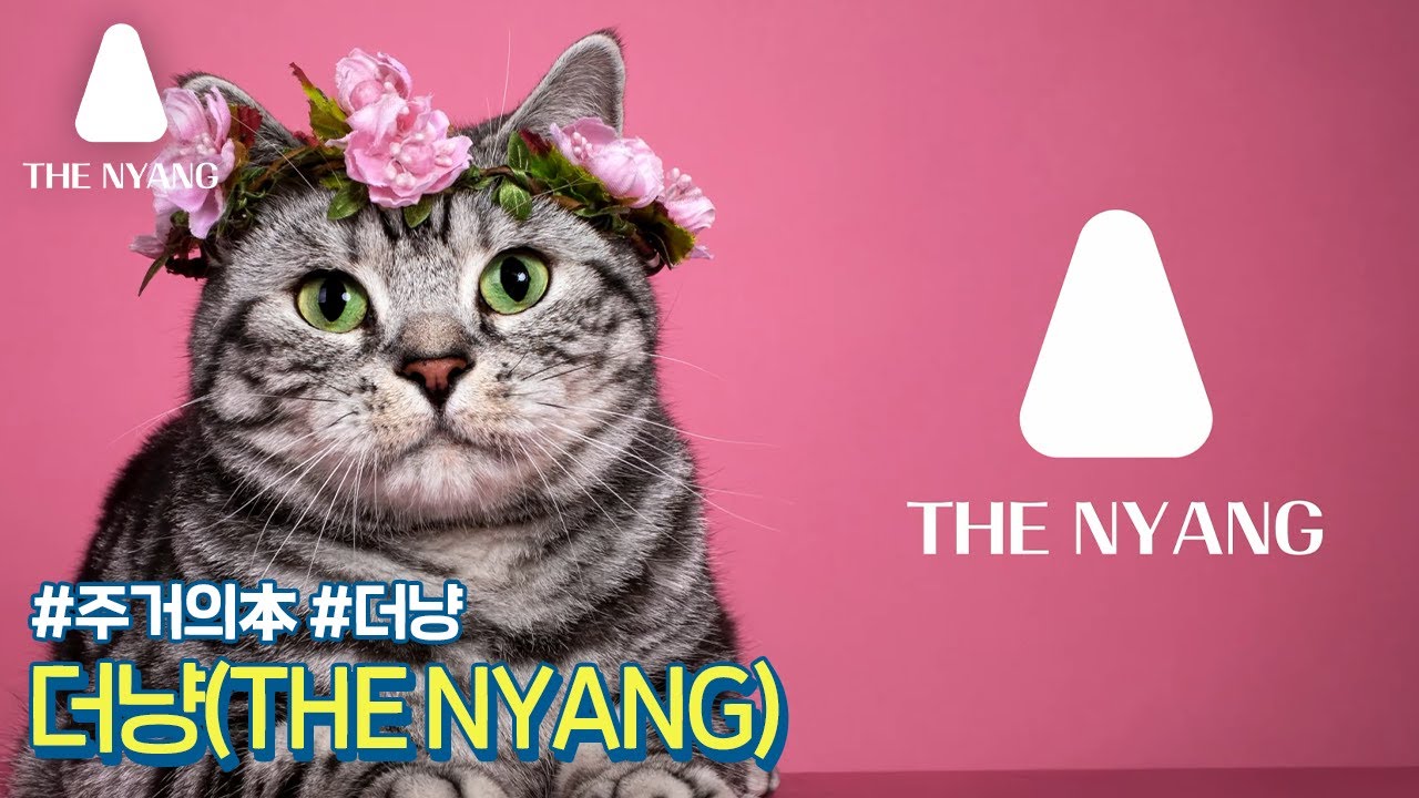 #2 THE NYANG Brand Promotional Video (Feat. Nyang) – Official POSCO ...